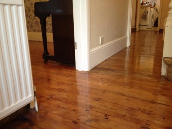 Floor Staining and Gap Filling